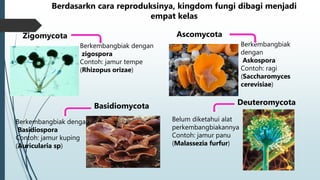 Klasifikasi makhluk hidup | PPTX