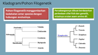 Klasifikasi makhluk hidup | PPT