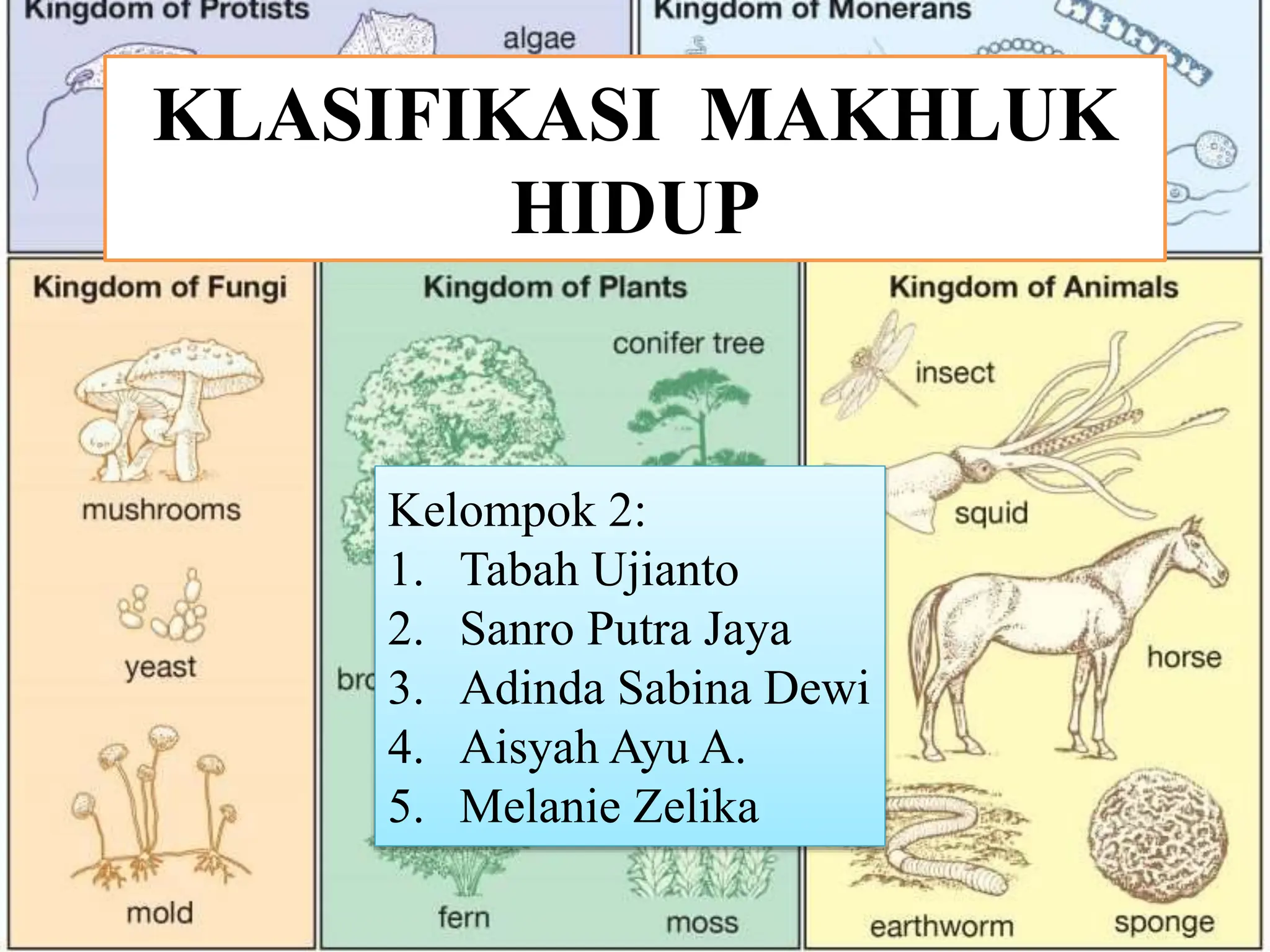 Klasifikasi Makhluk hidup Kelas X biologi | PPTX
