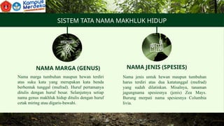 biologi24 klasifikasi makhluk hidup.pptx