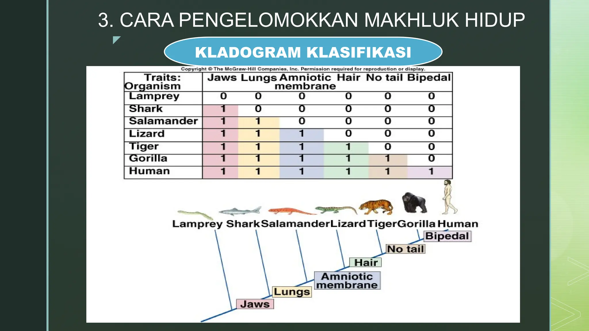 KLASIFIKASI MAKHLUK HIDUP (1) MATERI KELAS X | PPT
