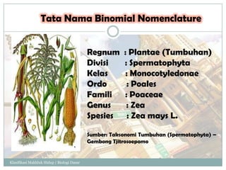 Klasifikasi makhluk hidup biodas | PPT