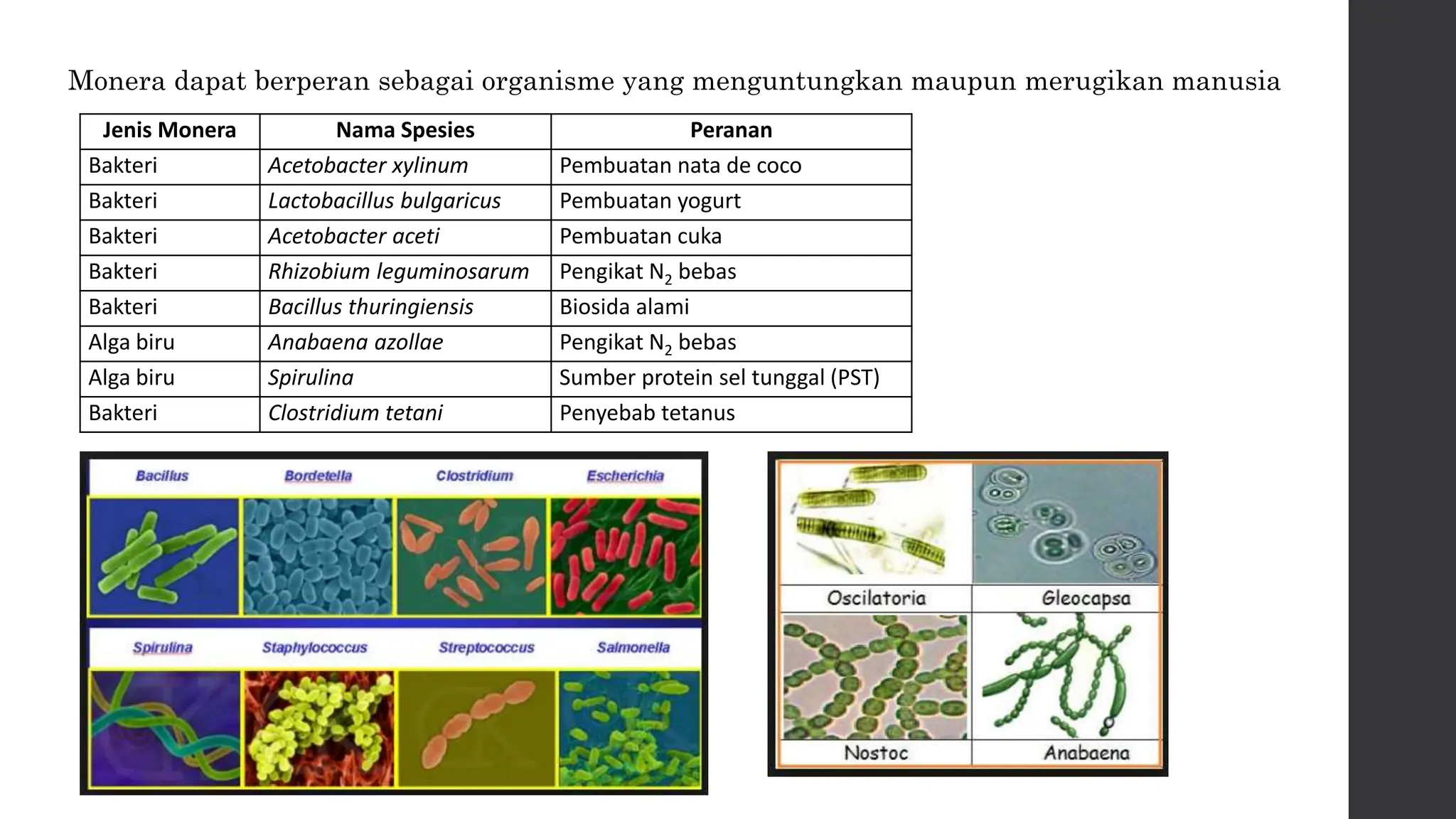 KLASIFIKASI MAKHLUK HIDUP kelas 7 kurikulum merdeka | PPTX