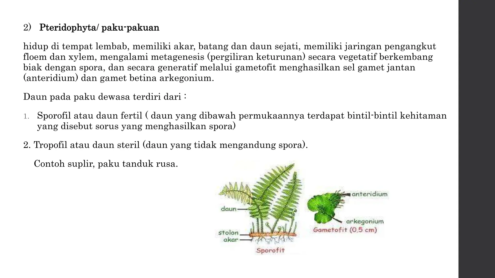 KLASIFIKASI MAKHLUK HIDUP kelas 7 kurikulum merdeka | PPTX