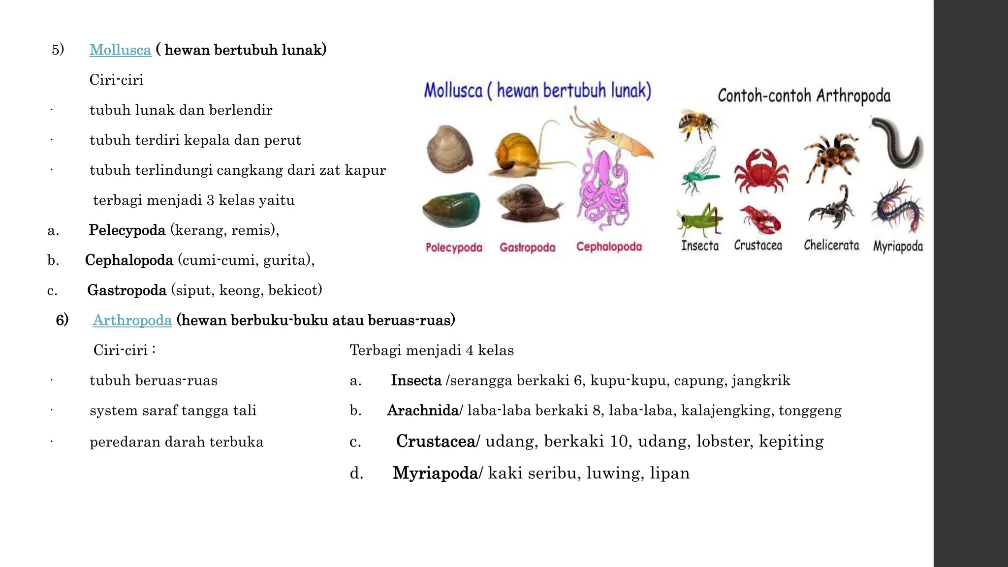 KLASIFIKASI MAKHLUK HIDUP kelas 7 kurikulum merdeka | PPTX