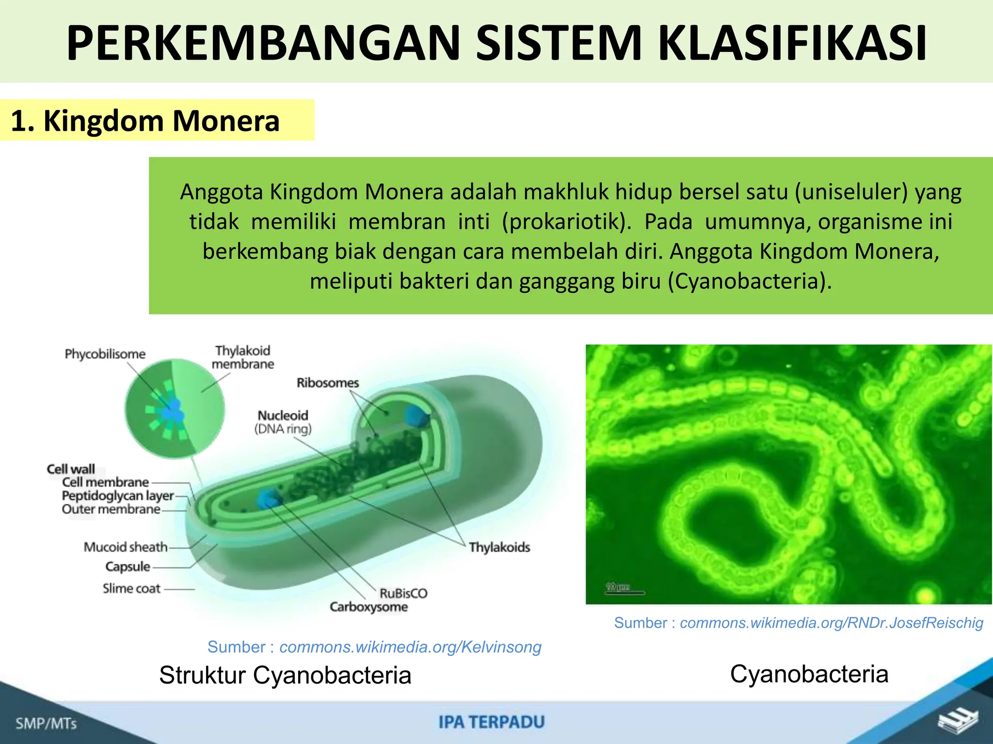 Klasifikasi Makhluk Hidup Kelas VII Kumer.ppt