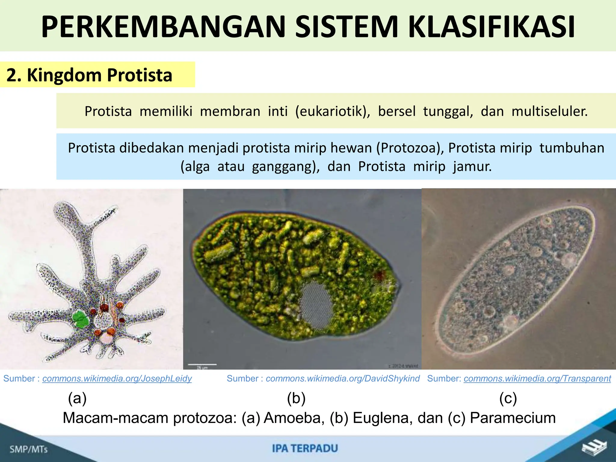 Klasifikasi Makhluk Hidup Kelas VII Kumer.ppt