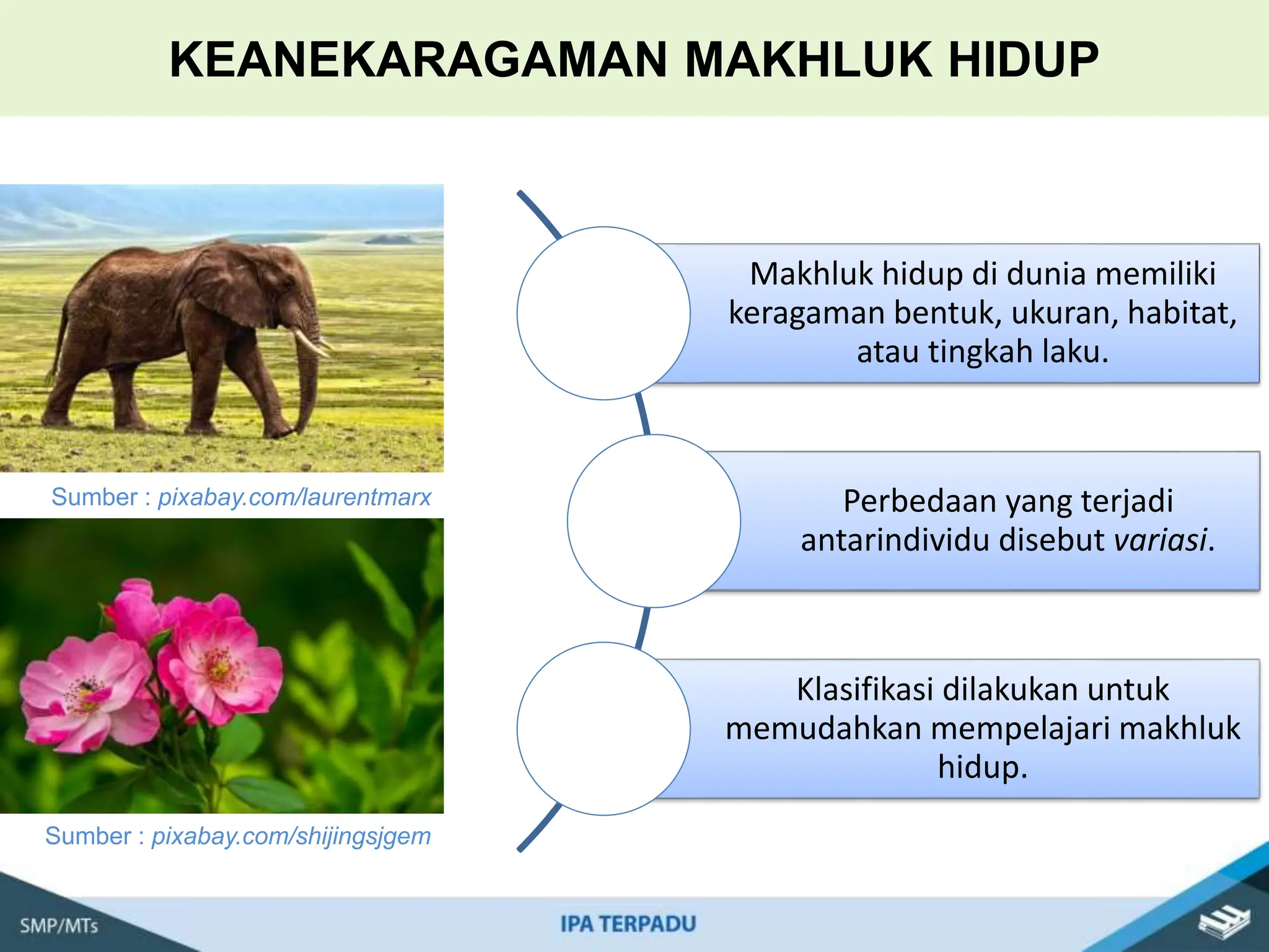Klasifikasi Makhluk Hidup Kelas VII Kumer.ppt