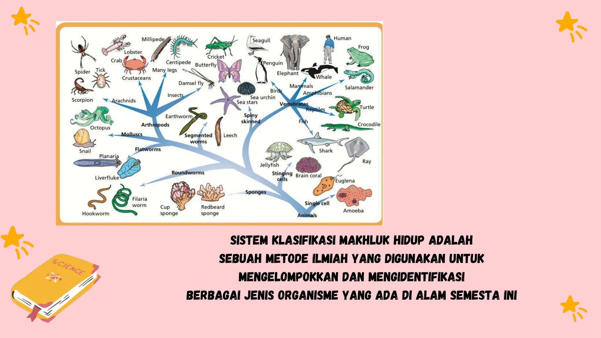 Dasar Klasifikasi makhluk hidup part 1.pptx