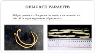 Klasifikasi Parasit | PPT