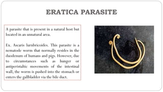 Klasifikasi Parasit | PPT