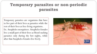 Klasifikasi Parasit | PPT