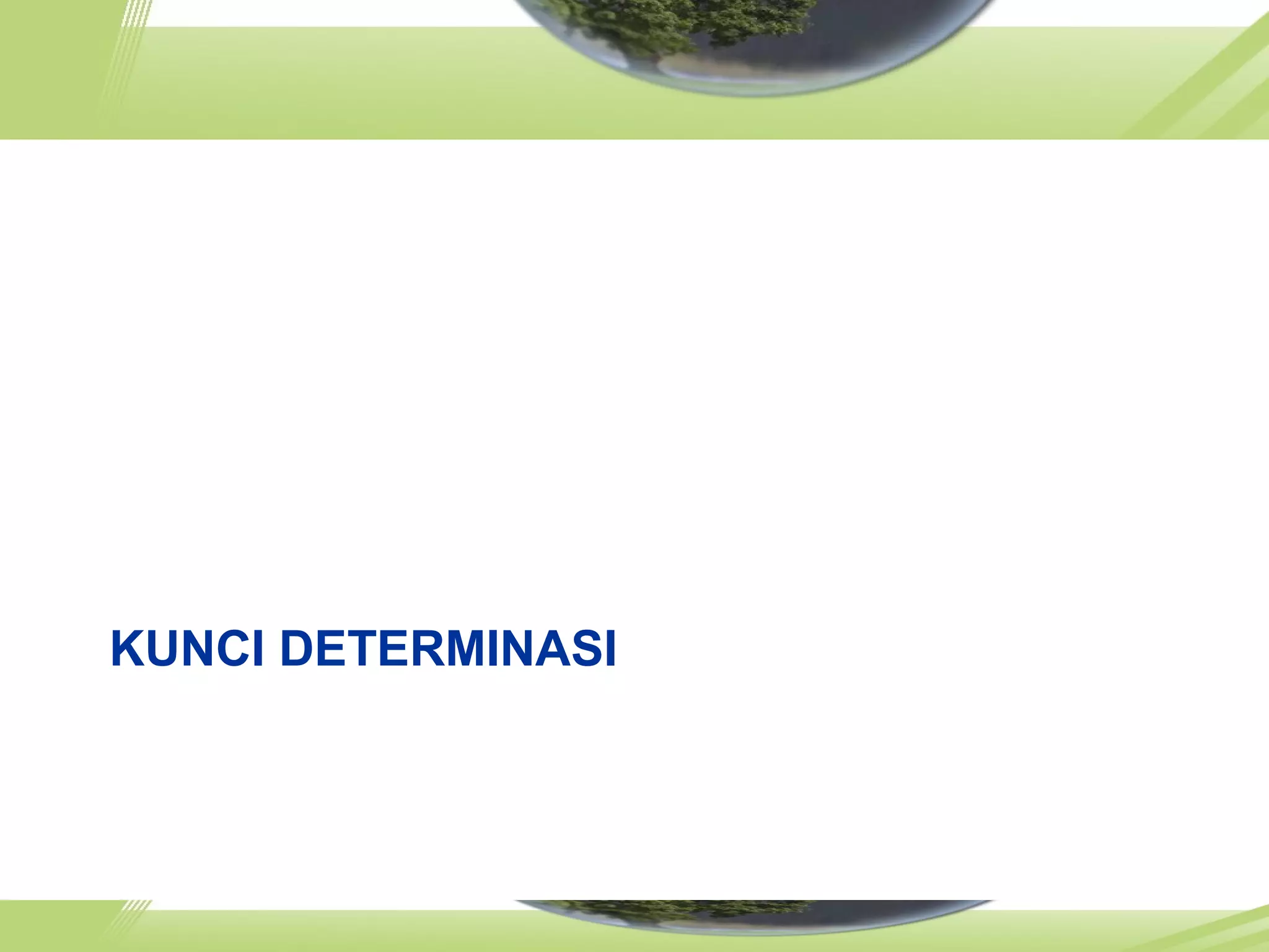 Klasifikasi pertemuan 2 | PPT