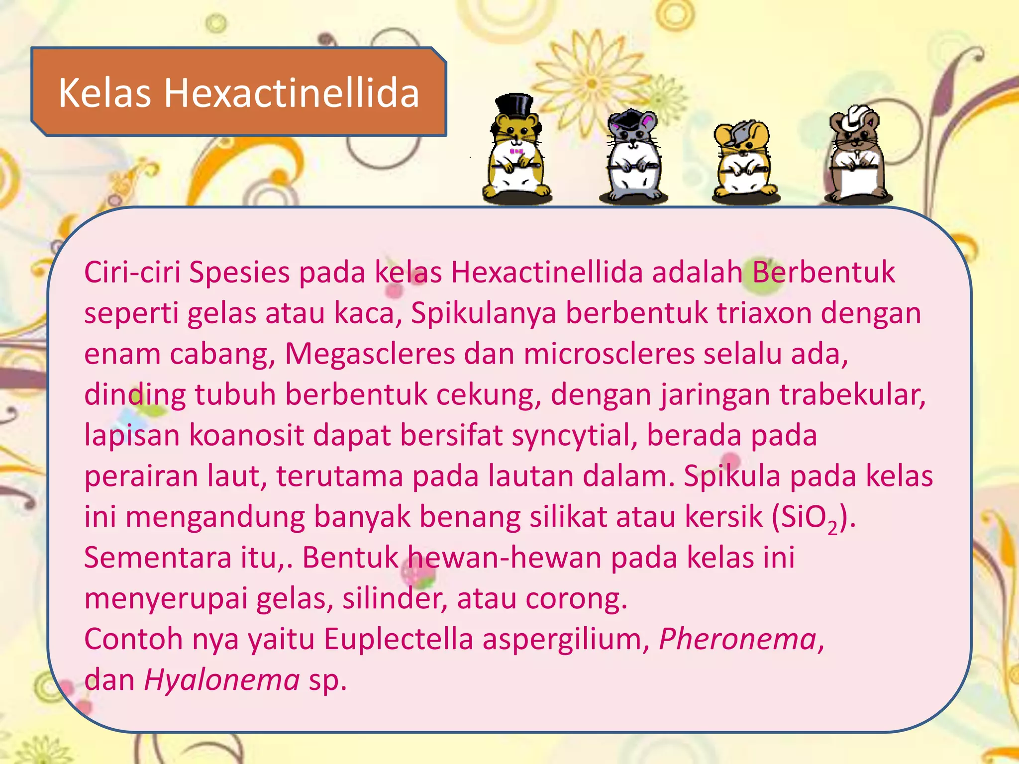 Klasifikasi porifera | PPTX