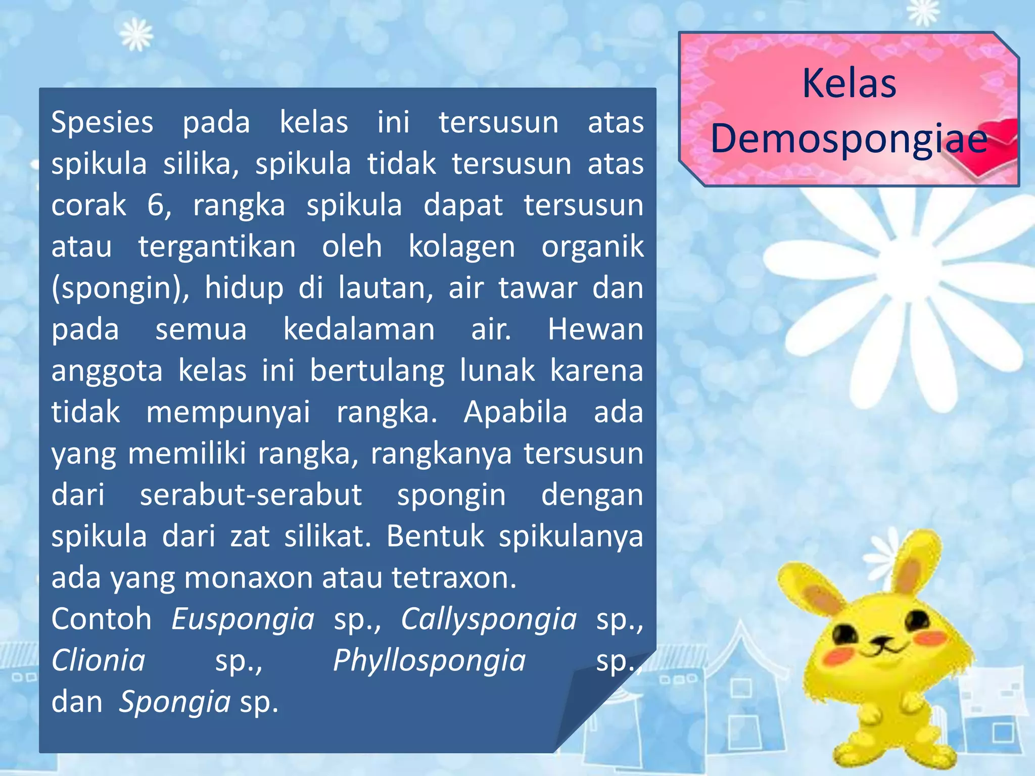 Klasifikasi porifera | PPTX