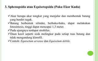 Klasifikasi Pteridophyta.pptx