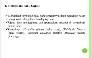 Klasifikasi Pteridophyta.pptx