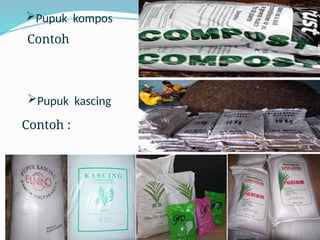Klasifikasi Pupuk Berdasarkan Jenis dan Karakteristik | PPTX