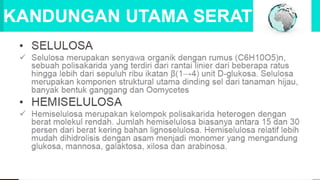 Klasifikasi serat teknolofi pengolahan serat.pptx