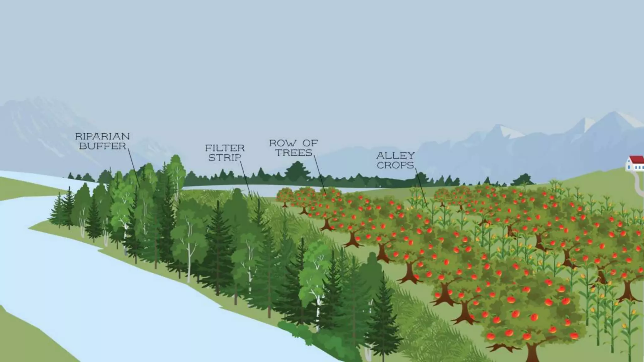 Klasifikasi Sistem Agroforestry.pdf