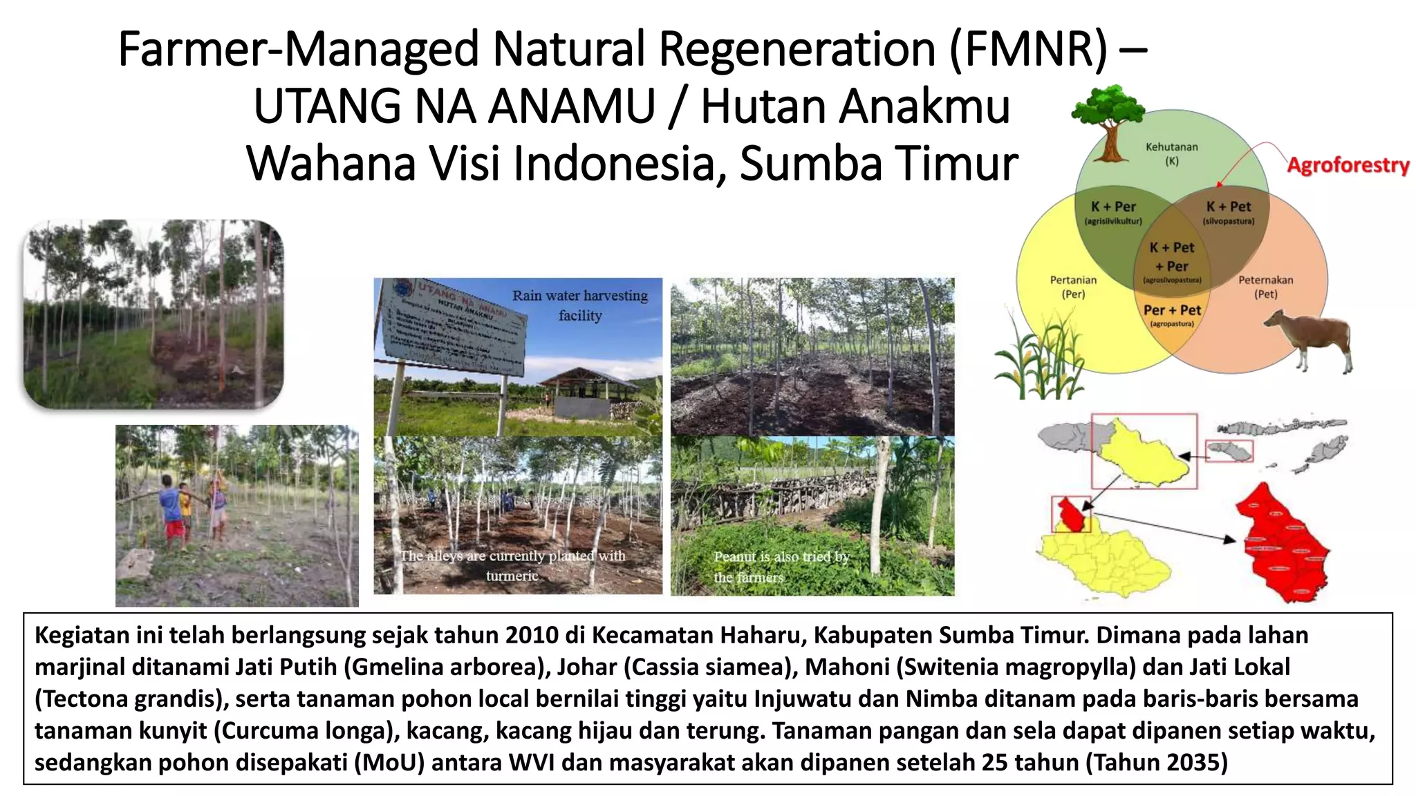 Klasifikasi Sistem Agroforestry.pdf