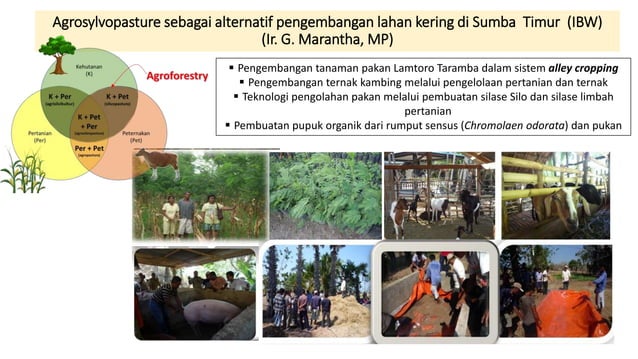 Klasifikasi Sistem Agroforestry.pdf