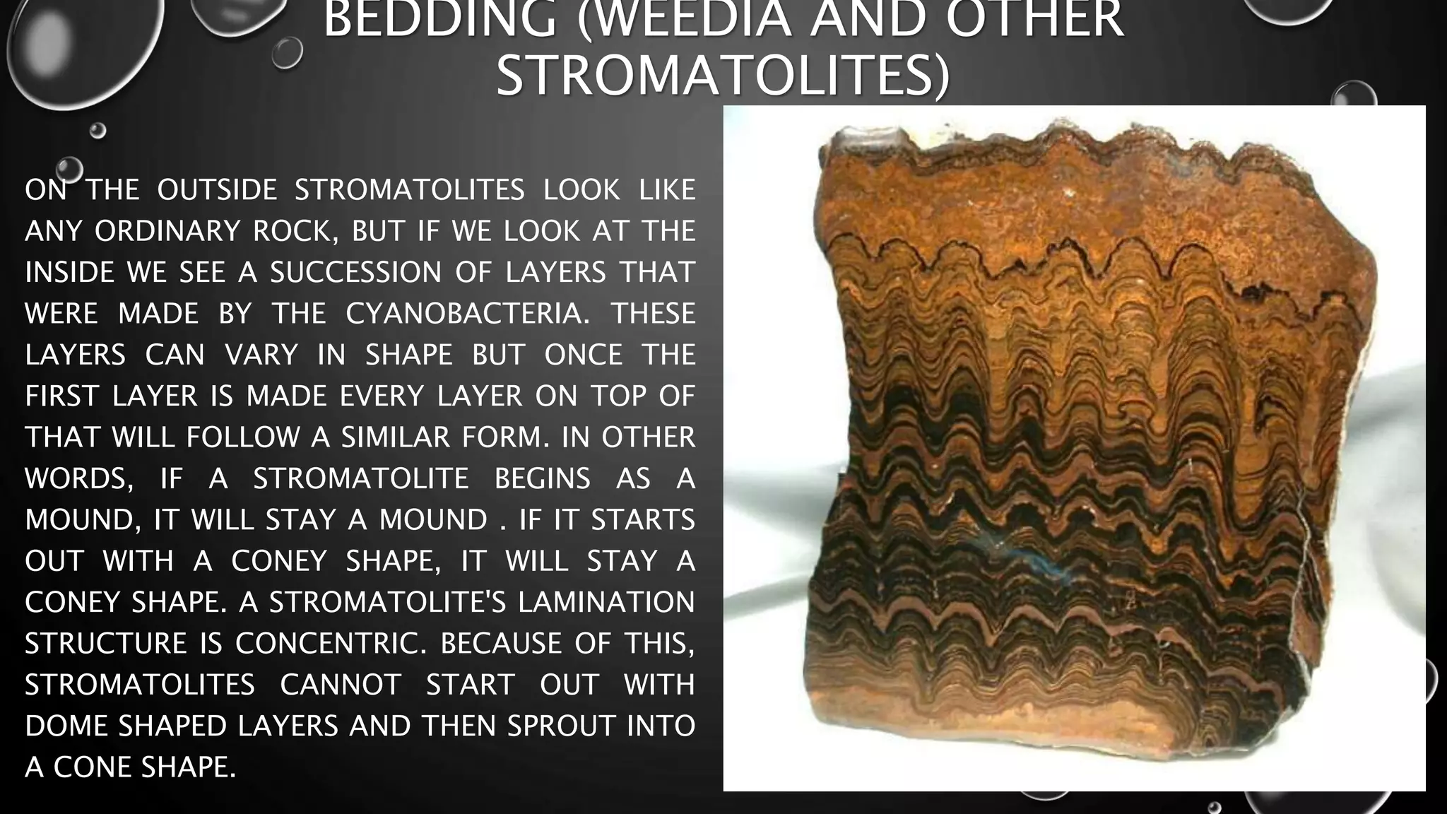 Klasifikasi struktur batuan sedimen dari pettijohn 1975 | PPTX