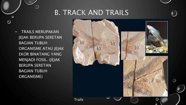 Klasifikasi struktur batuan sedimen dari pettijohn 1975 | PPTX
