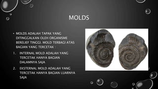 Klasifikasi struktur batuan sedimen dari pettijohn 1975 | PPTX