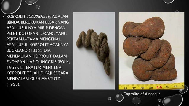 Klasifikasi struktur batuan sedimen dari pettijohn 1975 | PPTX