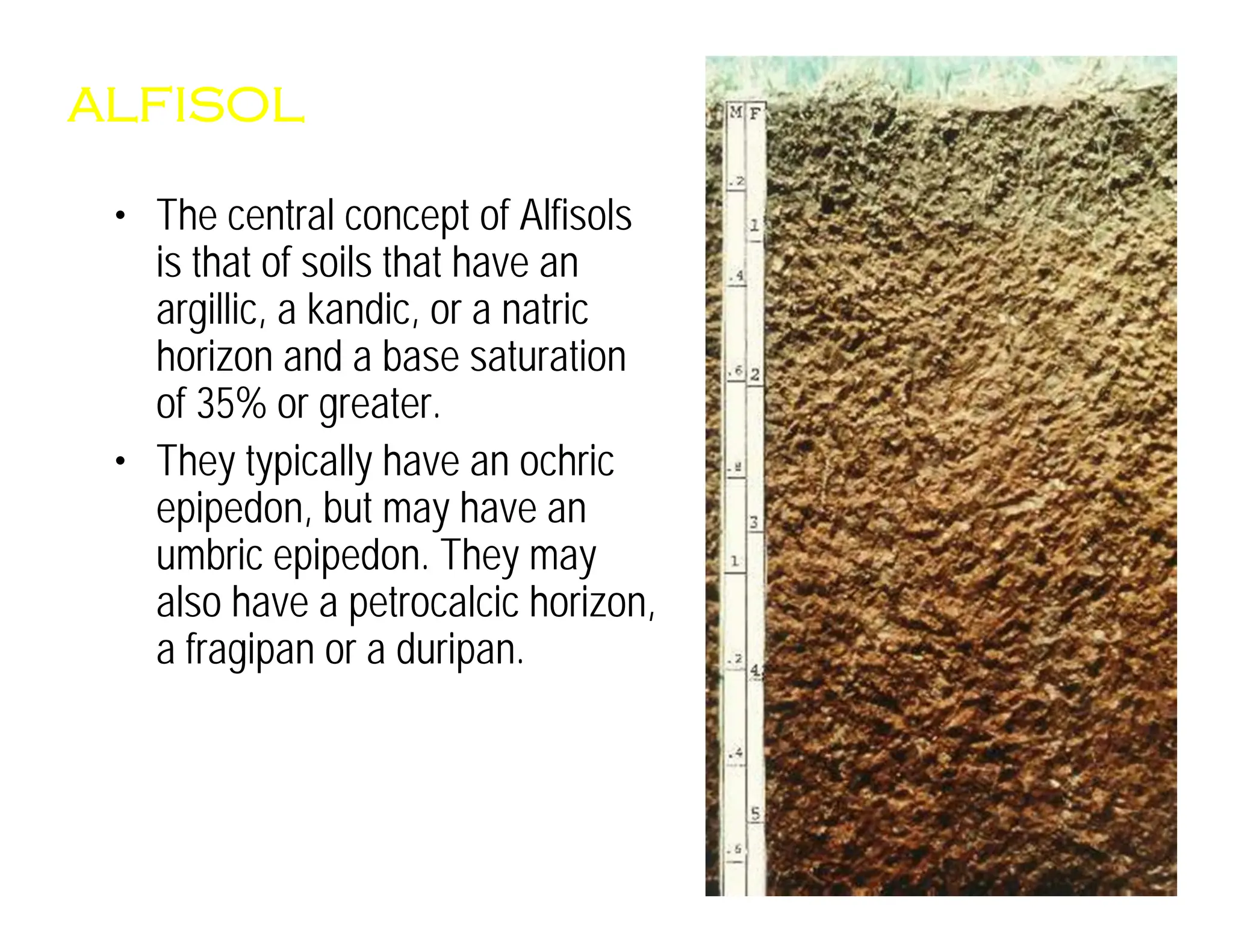 Materi kuliah tentang KLASIFIKASI TANAH.pdf | Geography | Science