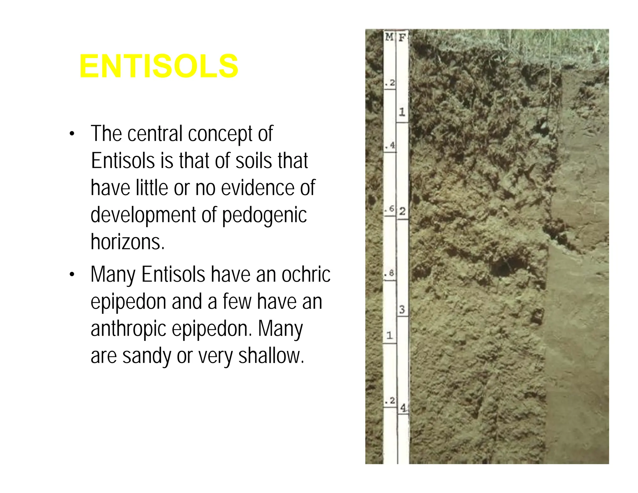 Materi kuliah tentang KLASIFIKASI TANAH.pdf