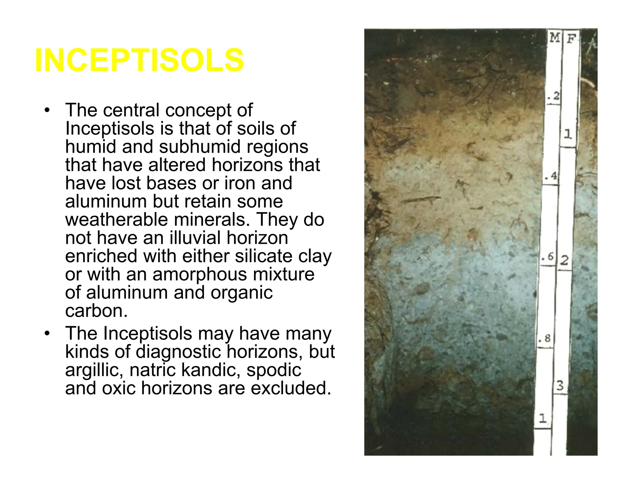 Materi kuliah tentang KLASIFIKASI TANAH.pdf