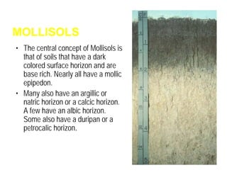 Materi kuliah tentang KLASIFIKASI TANAH.pdf