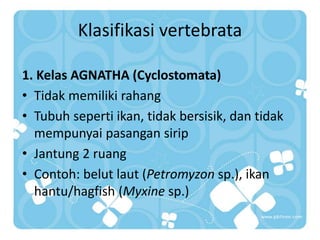 Klasifikasi & Tata Nama.ppt