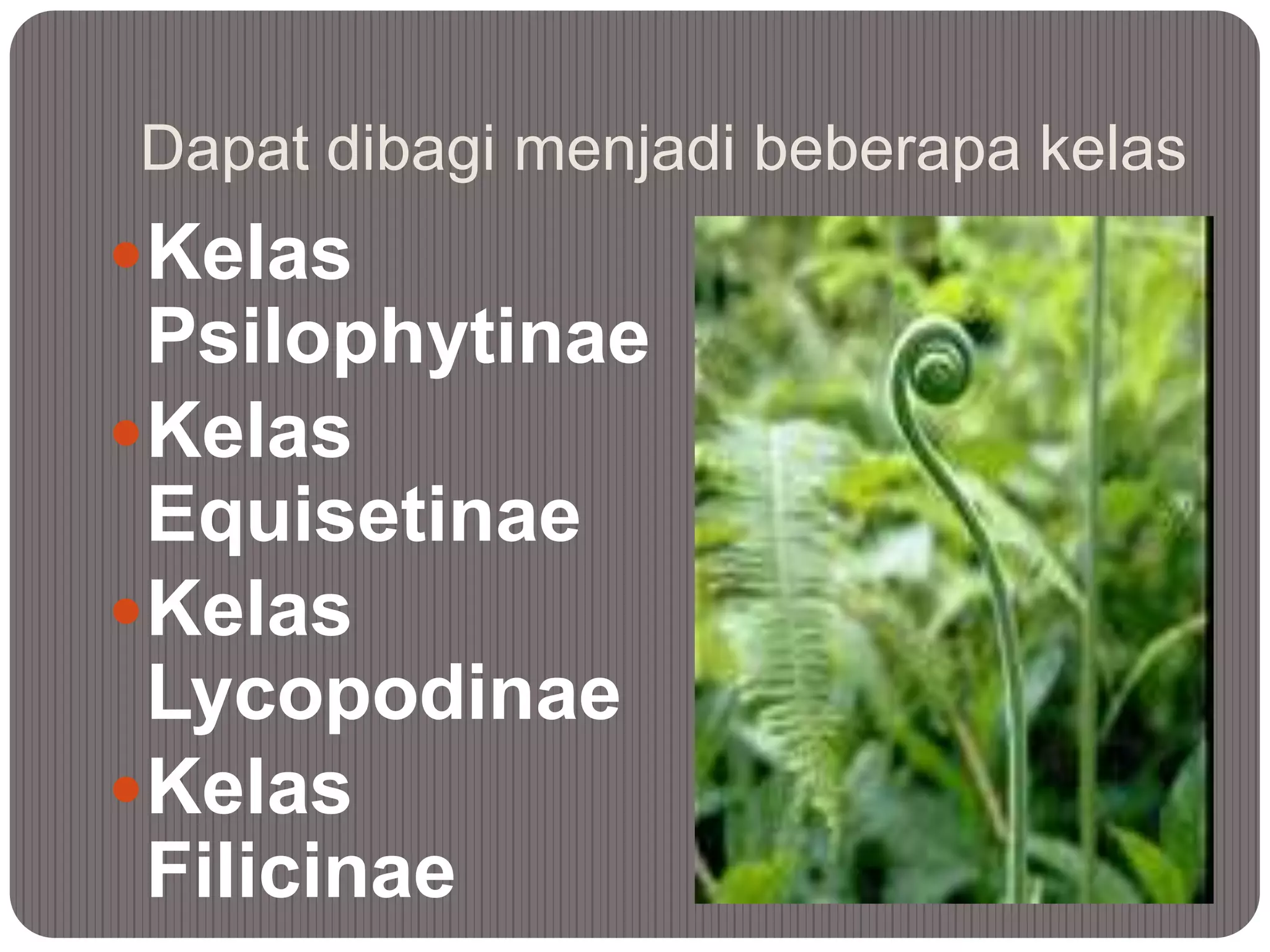 Klasifikasi tumbuhan | PPTX