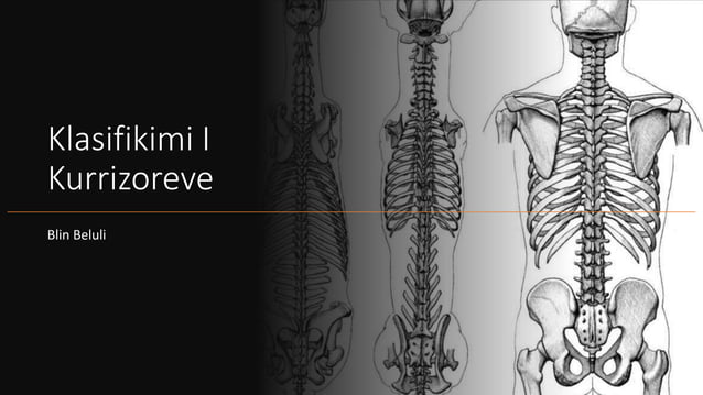 Klasifikimi I Kurrizoreve.pptx