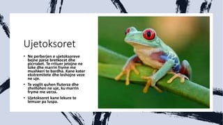 Klasifikimi I Kurrizoreve.pptx