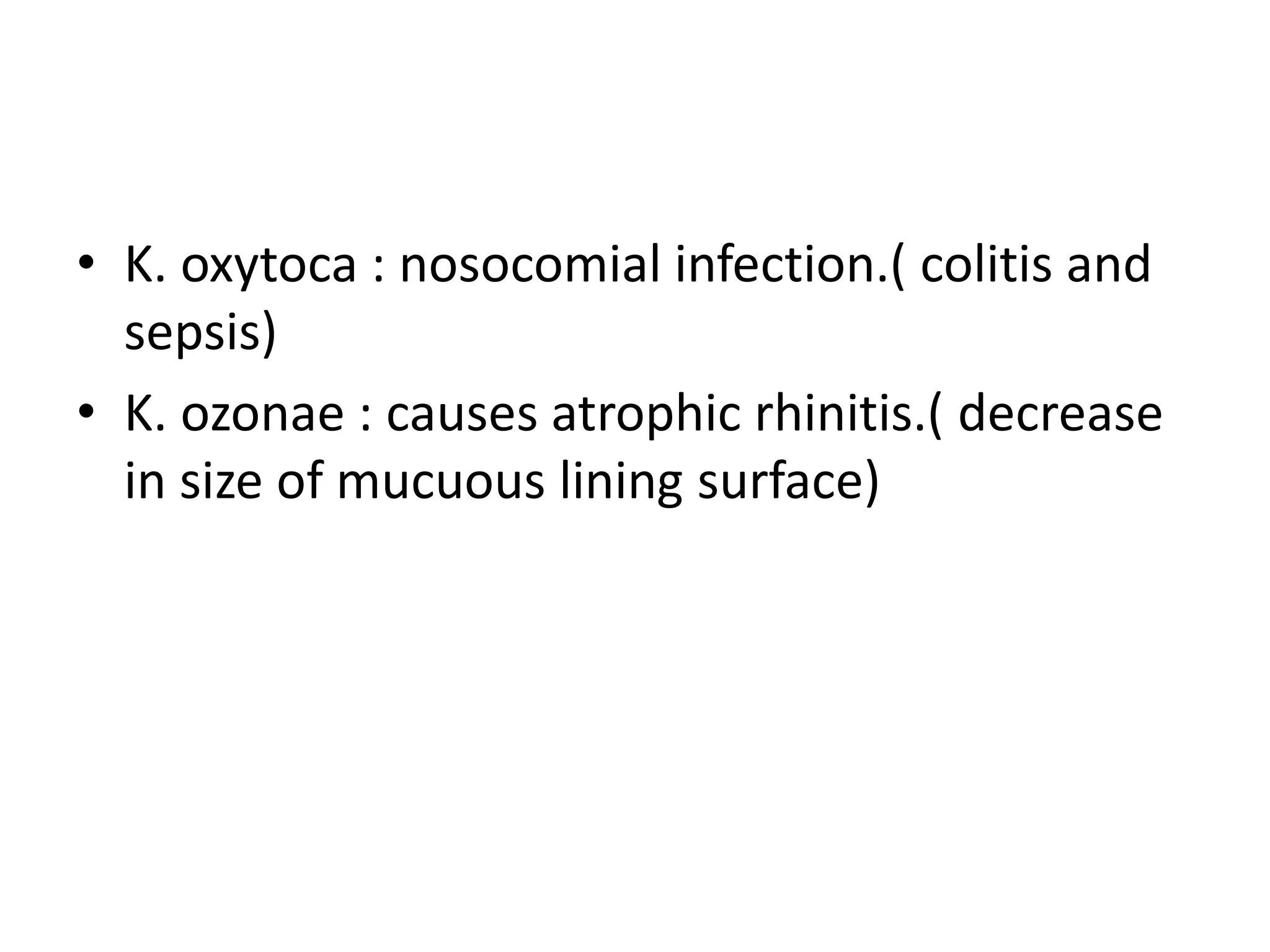 Klebsiella slide | PPTX