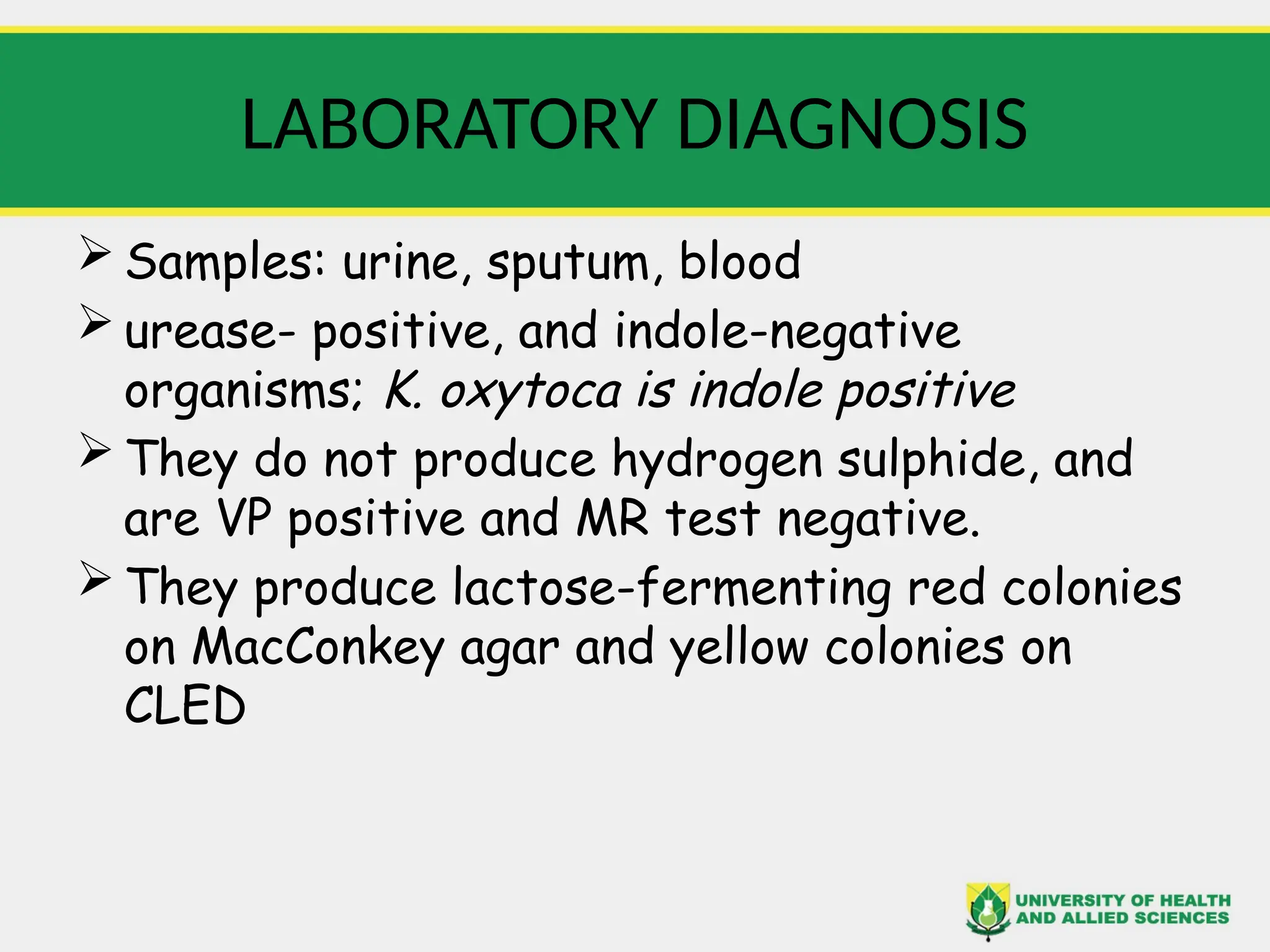 Klebsiella.pptx slides contains klebsiella | PPTX