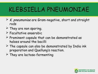 Klebsiella.pptx slides contains klebsiella | PPTX