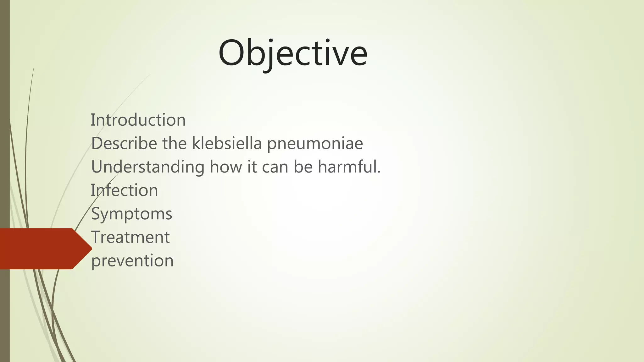 Klebsiella Pneumoniae CH.U | PPTX