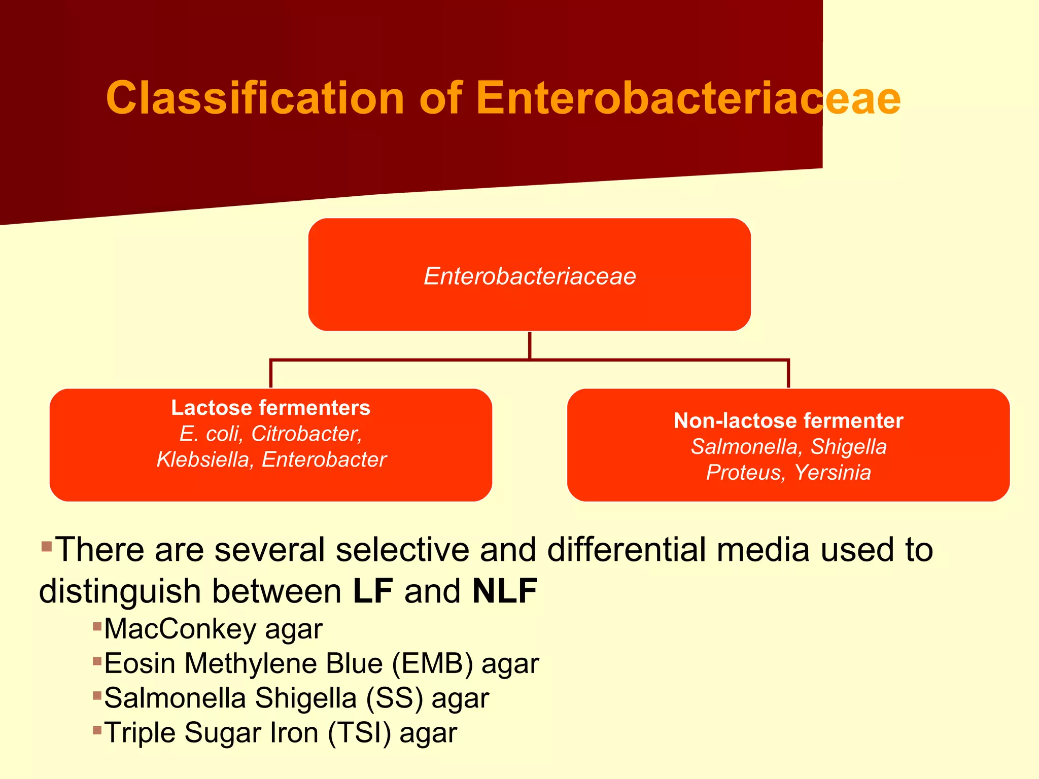 Klebsiella+proteus+uti | PPT