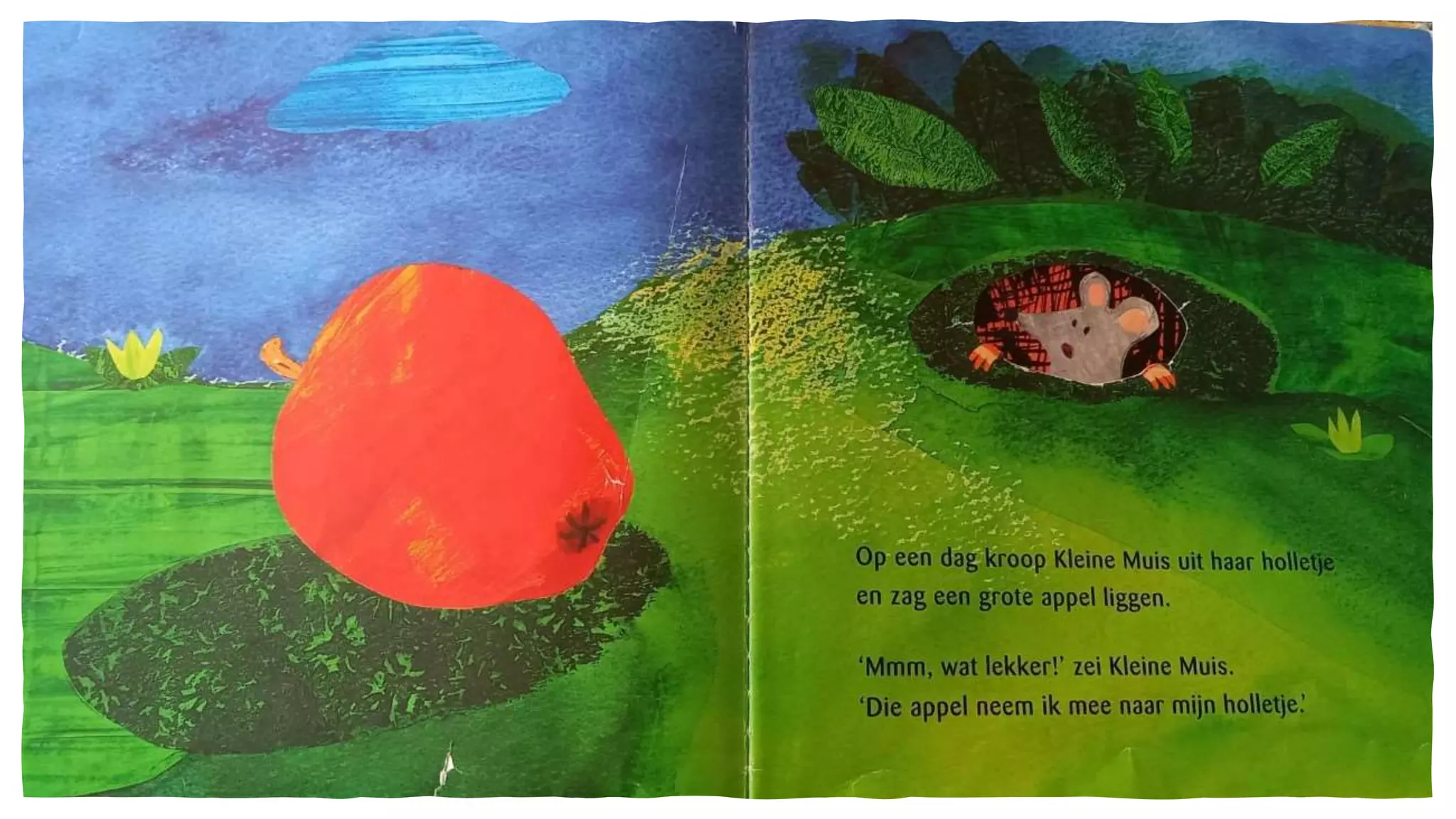 Kleine muis zoekt een huis | PPTX