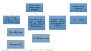 Kleinert and Duran Protocols.pptx