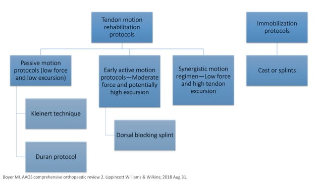 Kleinert and Duran Protocols.pptx