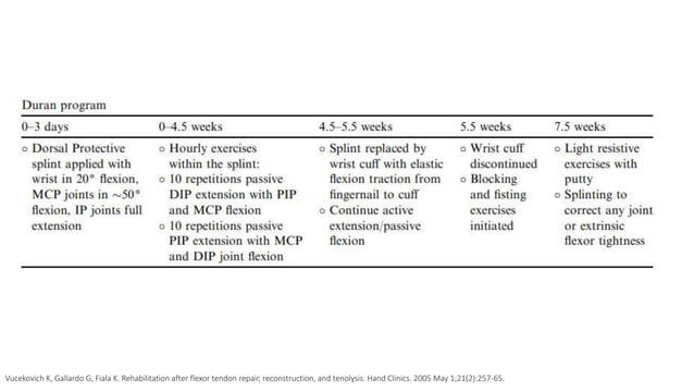 Modified Duran Flexor Tendon Protocol – YTBT
