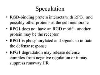 rpg1-mediated Durable Stem Rust Resistance: Mechanisms of action | PPT