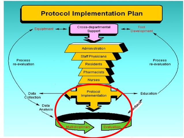 Applying the Surviving Sepsis Campaign Guidelines to Clinical Practice ...