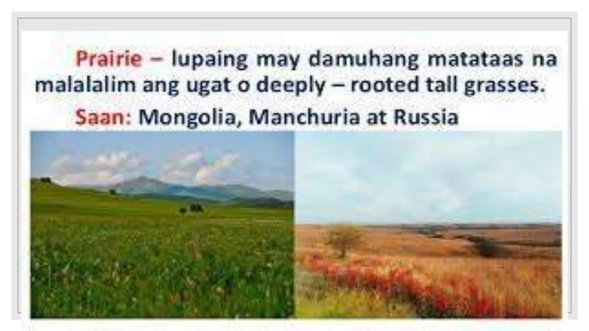 Klima-at-Vegetation-Cover-ng-Asya.pptx